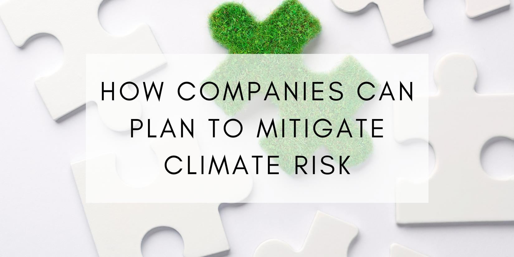 How Companies Can Plan to Mitigate Climate Risk - U.S. Green Chamber of ... How Companies Can Plan to Mitigate Climate Risk - U.S. Green Chamber of ...